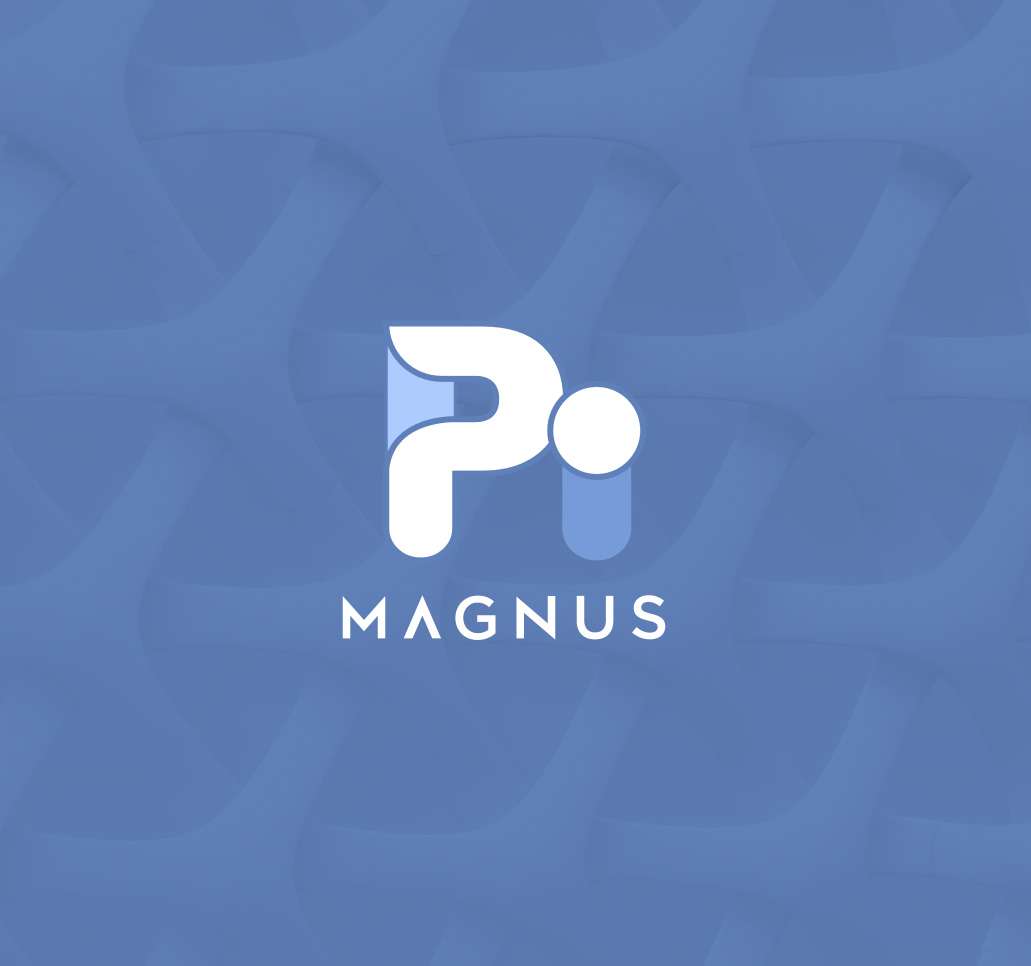 Magnus PI: Advanced B2B Marketing Persona Tool | Magnus Consulting